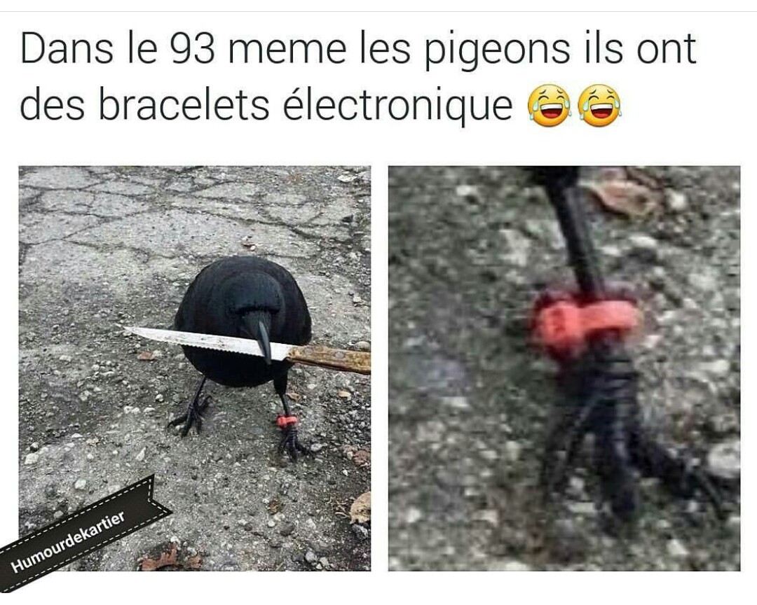 Dans mon bendo - Meme by ManuCapelo :) Memedroid