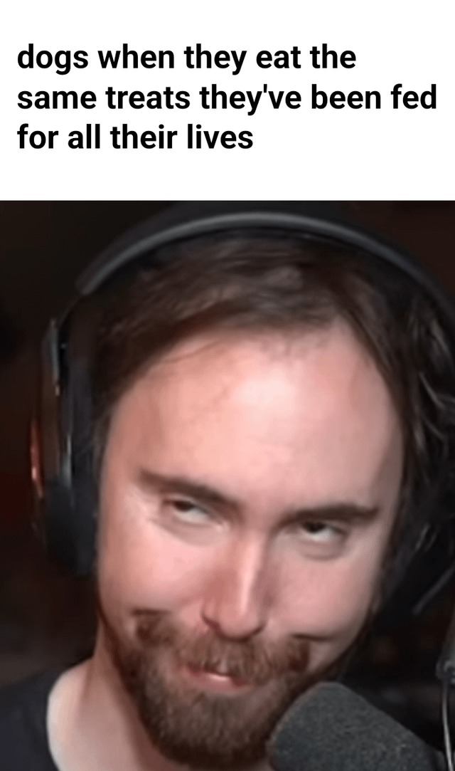 Dog - Search results :) Memedroid