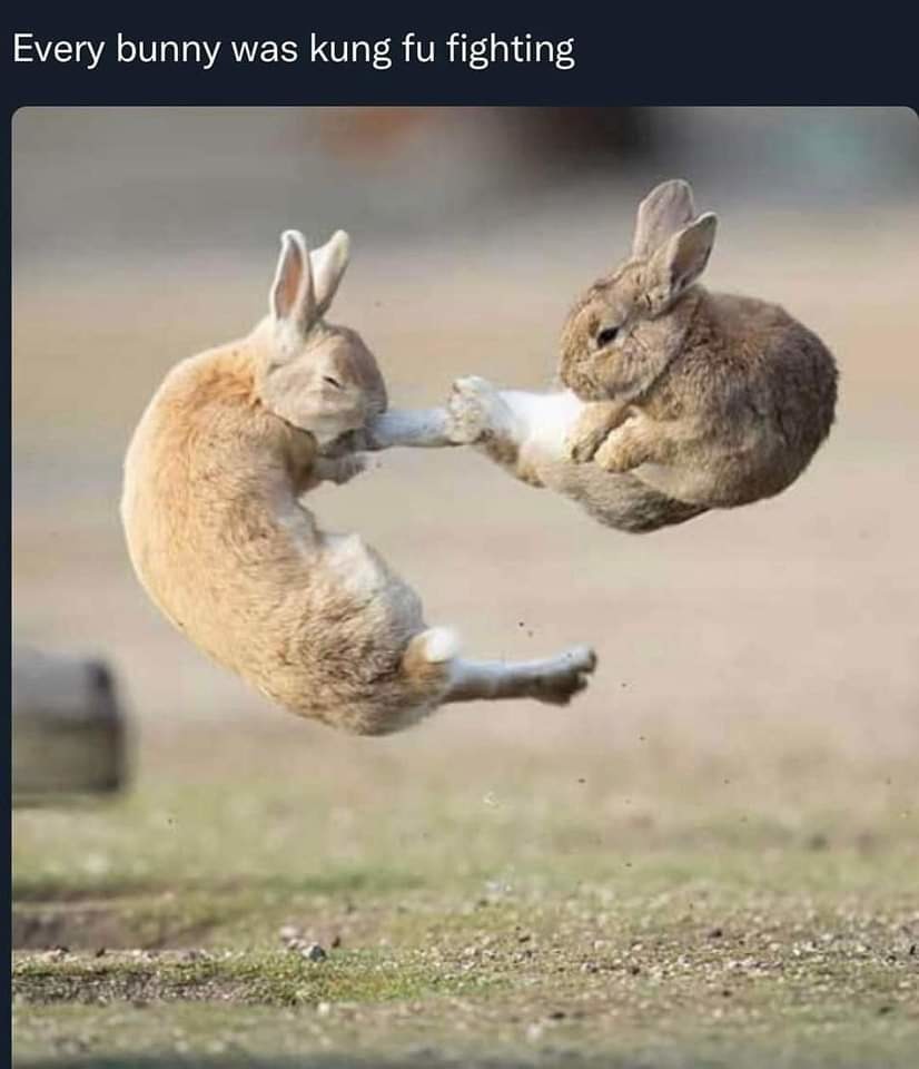 Nest Stephen chow movie..... - Meme by Mercenary_Hero :) Memedroid