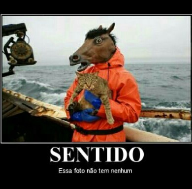 Sentido pra que? - Meme by Champolado :) Memedroid