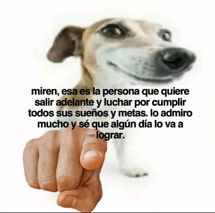 Los Últimos Memes :) Memedroid