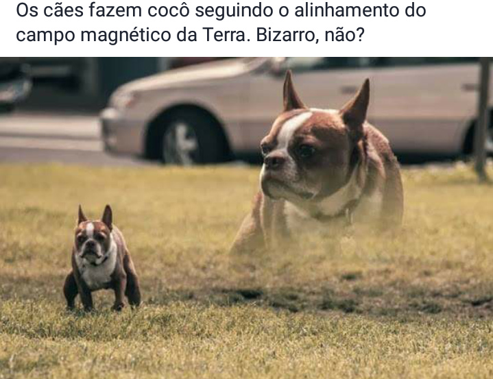 Huehue - Meme by D_Salvini :) Memedroid