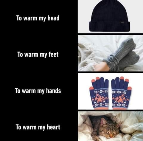 Sweet - Meme by TBIGUY :) Memedroid