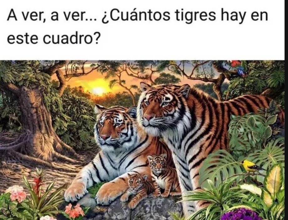 Los mejores memes de Tigres :) Memedroid