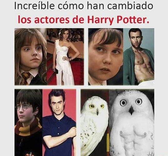 guau........................... - Meme subido por Octavio-_. :) Memedroid