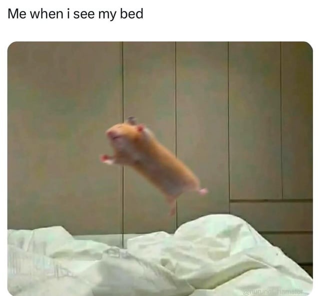 The best Bed memes :) Memedroid