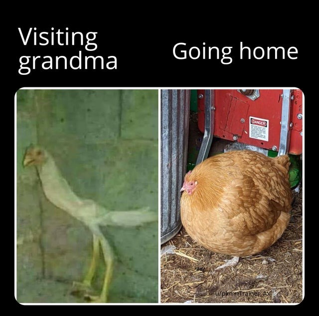 Visiting grandma - Meme by tunesrae :) Memedroid