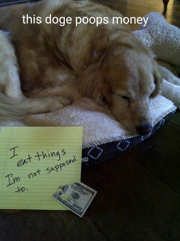 Money poop - Meme by Naterpotater :) Memedroid