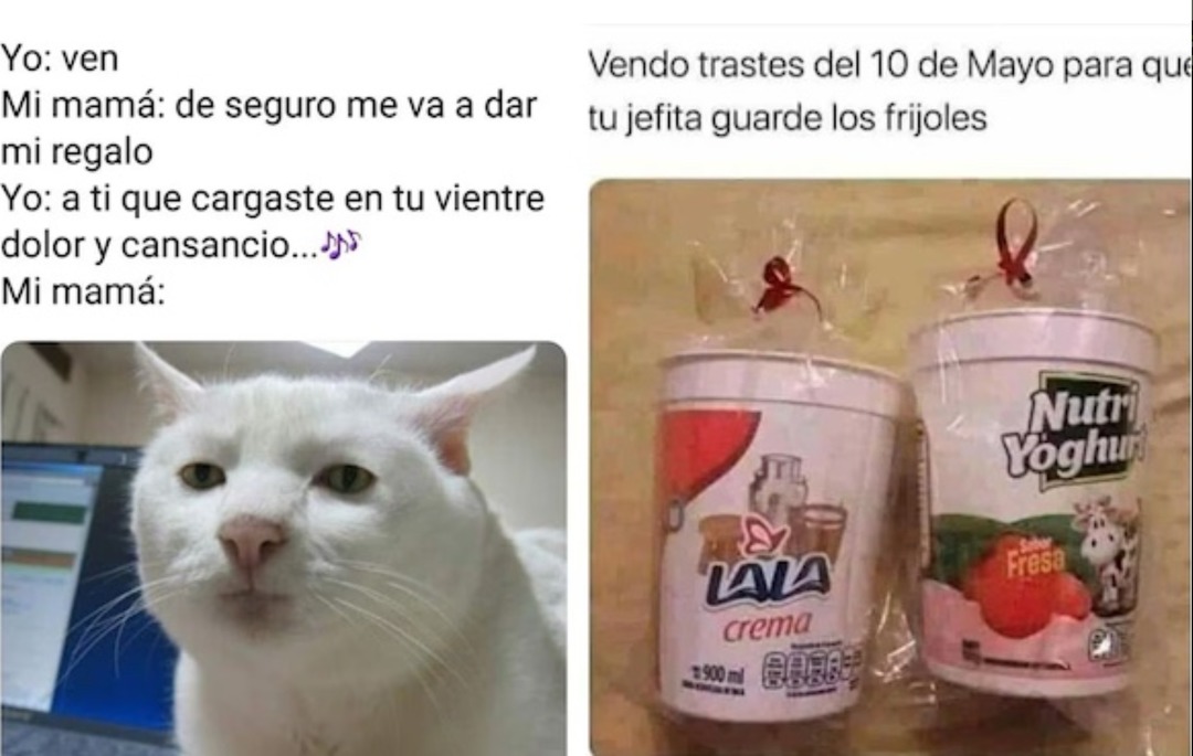 Top memes de Basado en español :) Memedroid