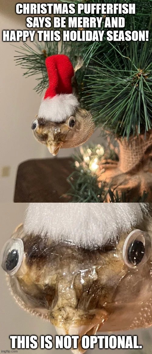 Or else - Meme by SocialismKills :) Memedroid