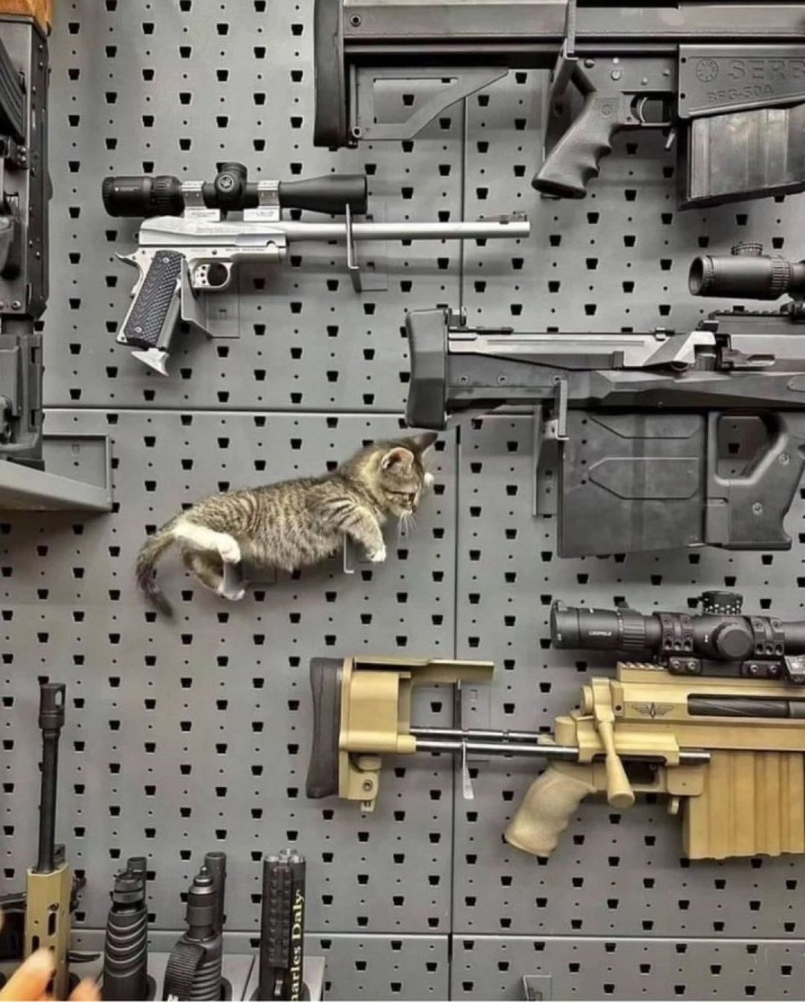 Top memes de Jolatodos en español :) Memedroid