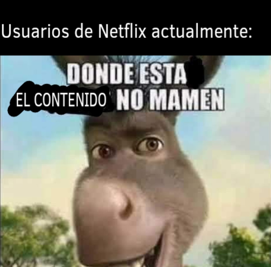 Netflix - Meme subido por Joe_Mamma2 :) Memedroid