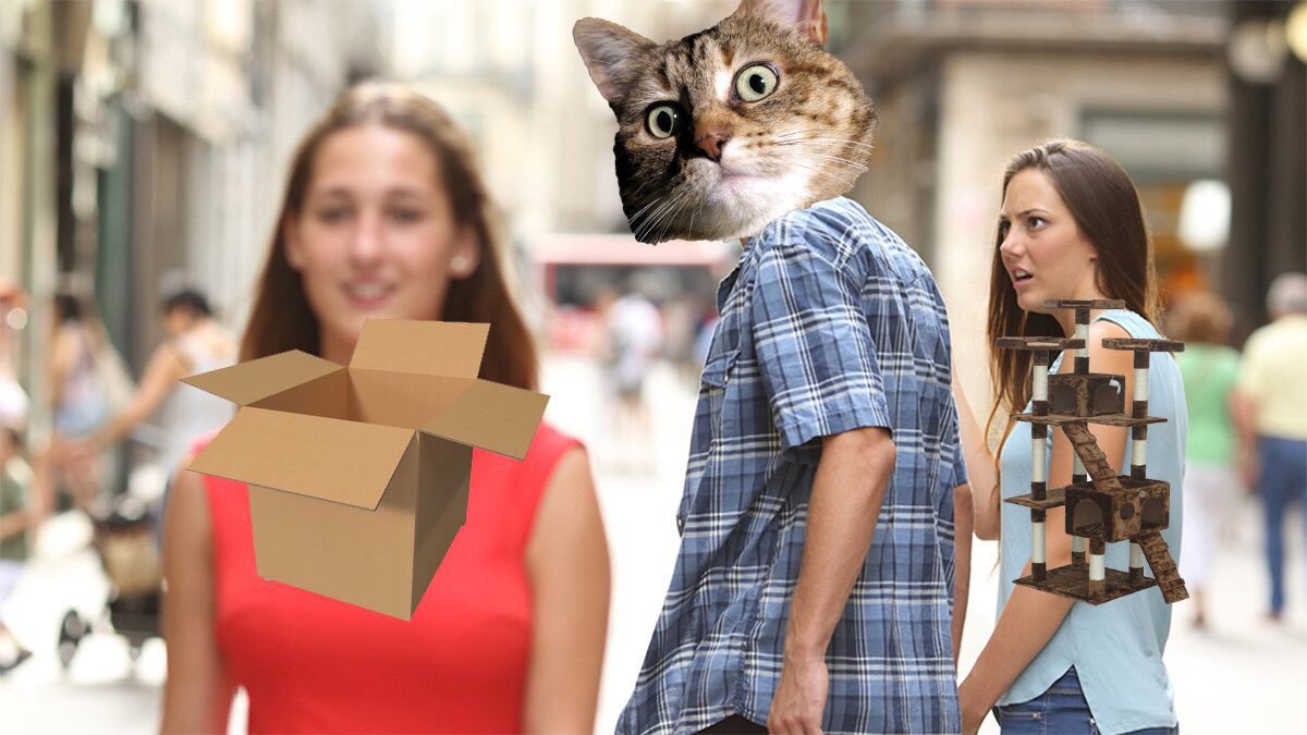 Memeo - Meme subido por lobenense96 :) Memedroid