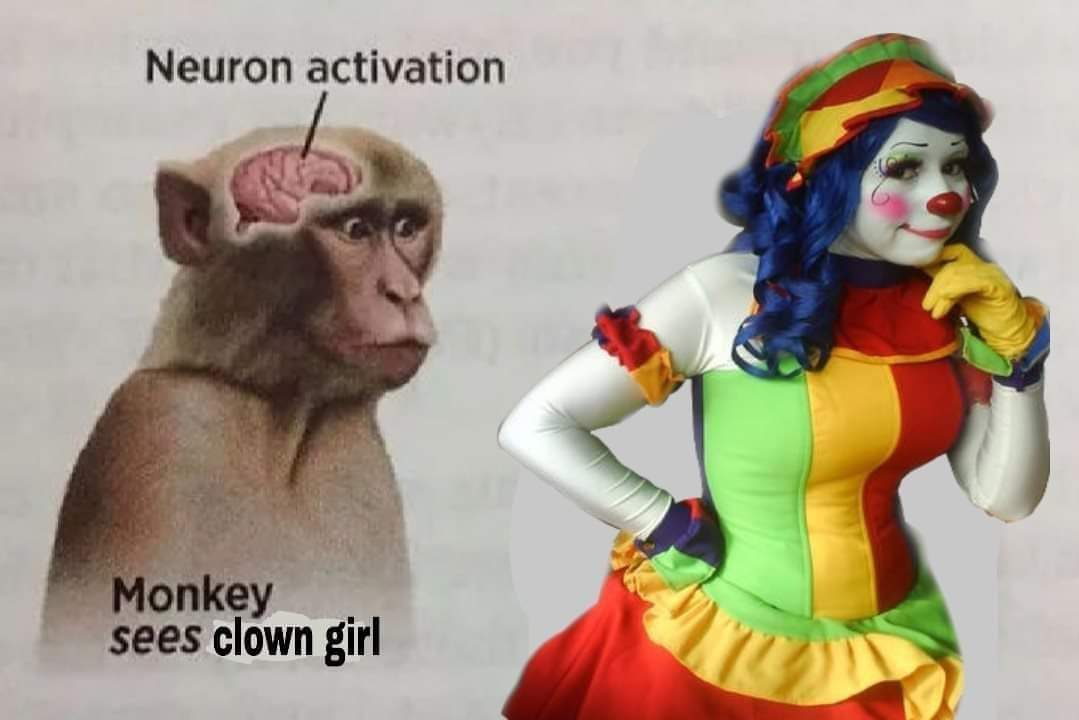 Le neuron - Meme subido por DrinkBeer :) Memedroid