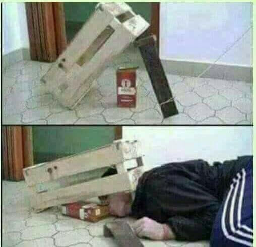 La mejor trampa.. - Meme subido por panzacab :) Memedroid