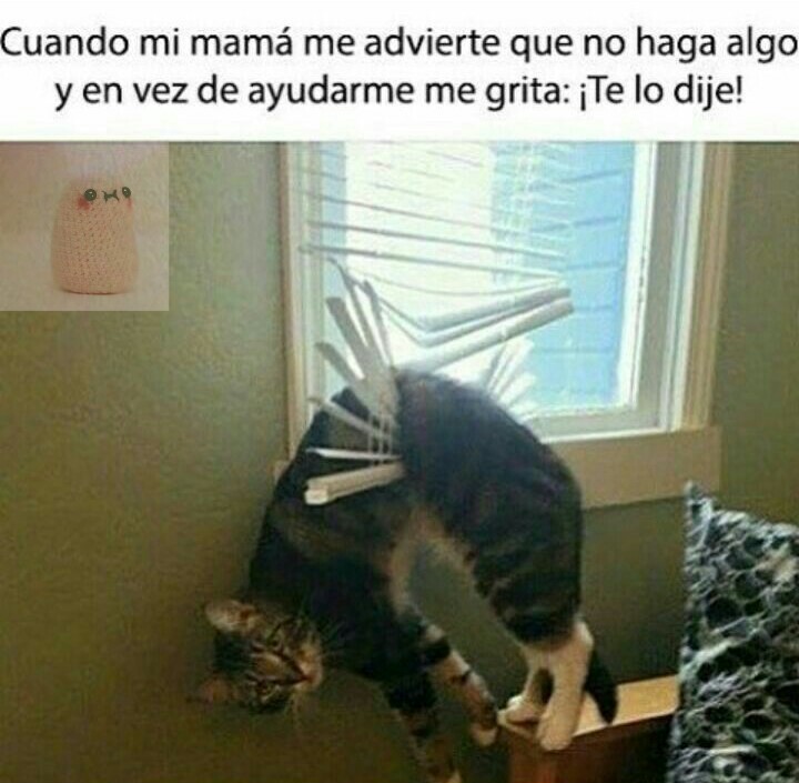 Meme by Renywiis-La.conejita :) Memedroid