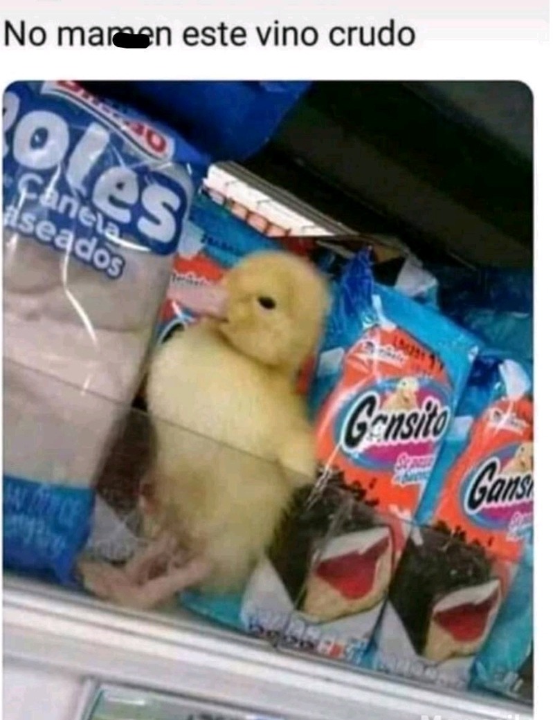 Los Últimos Memes :) Memedroid