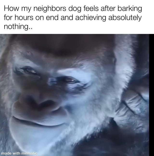 The best Neighbor memes :) Memedroid