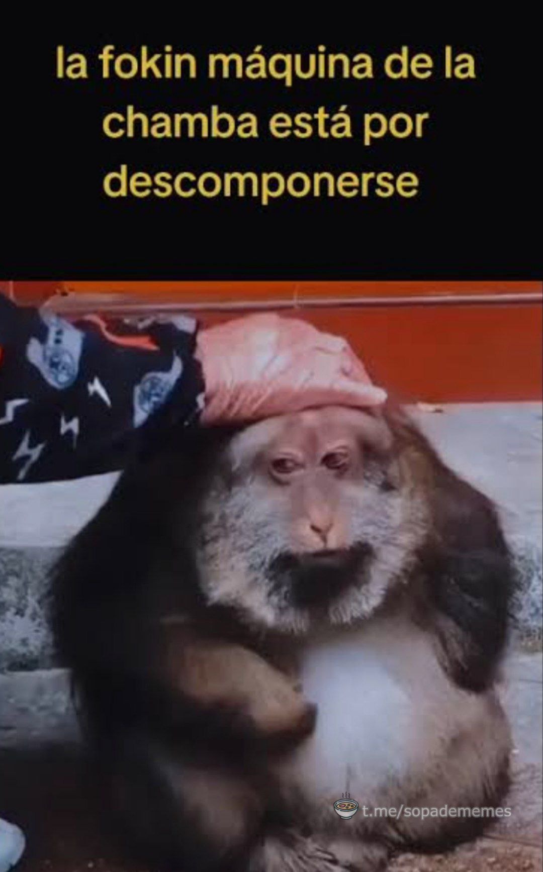 Los Últimos Memes :) Memedroid