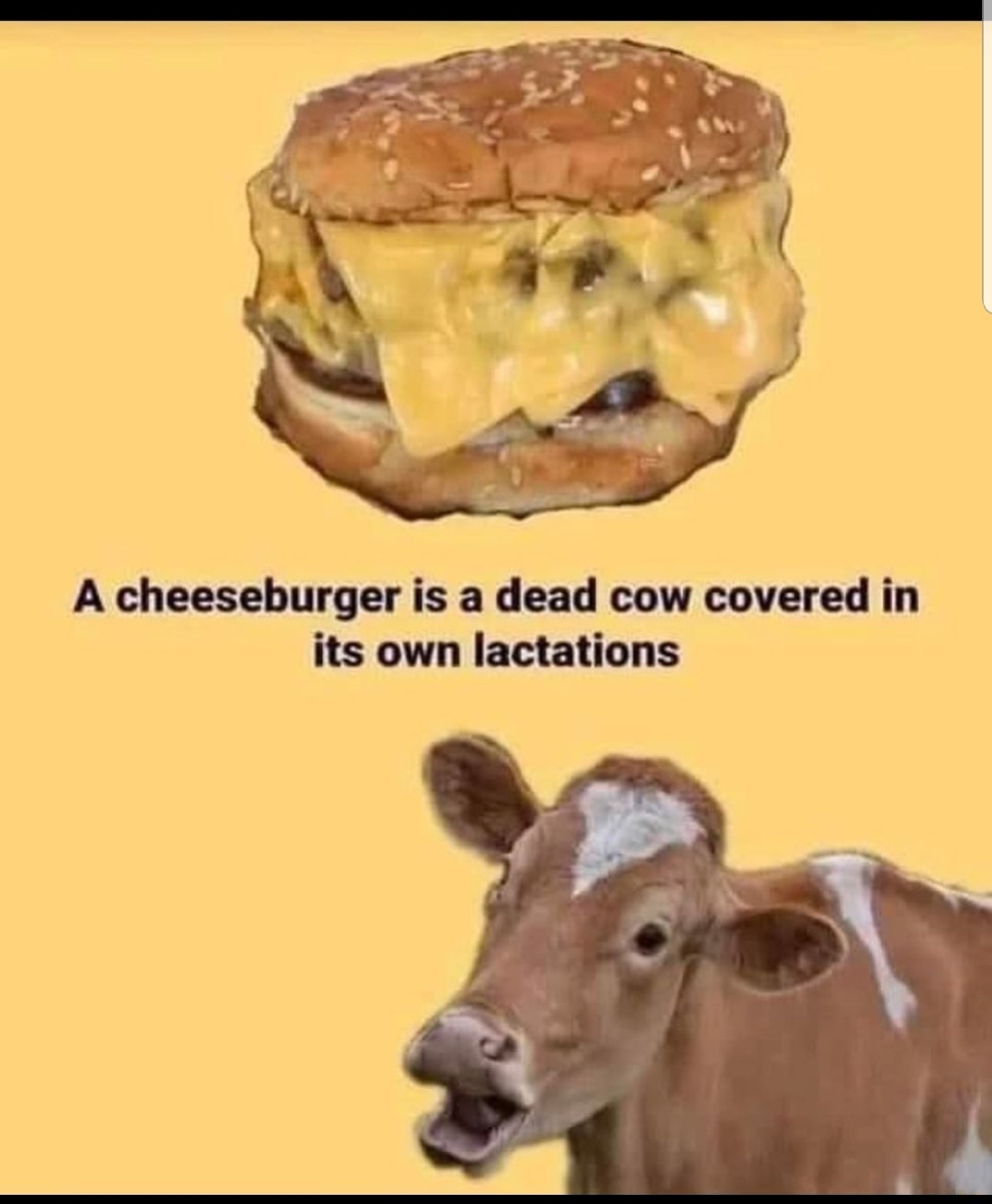 Moo - Meme by Chaddicus12 :) Memedroid