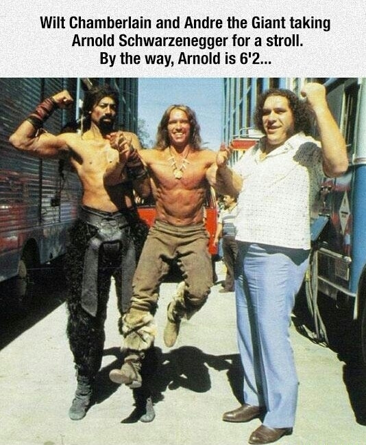 Get to the choppa - Meme by Tweet :) Memedroid