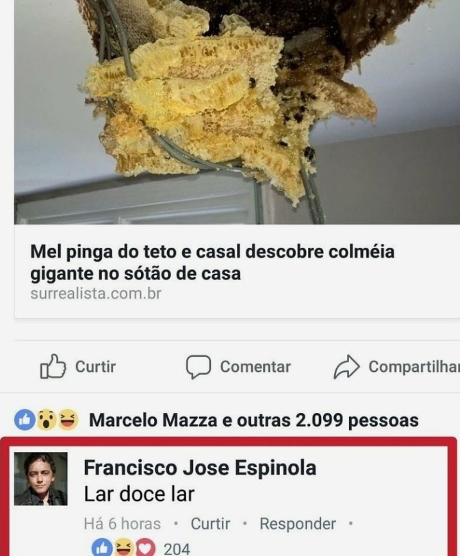 The Latest Memes :) Memedroid