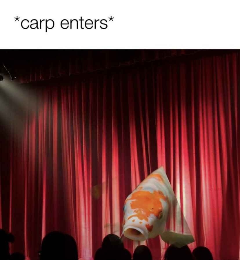 The best Fish memes :) Memedroid