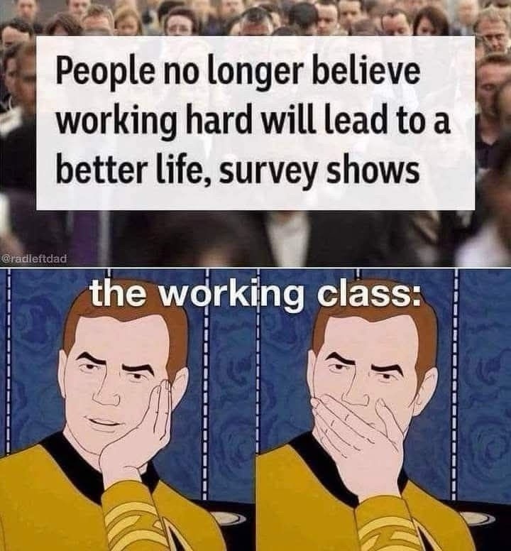 The best Survey memes :) Memedroid