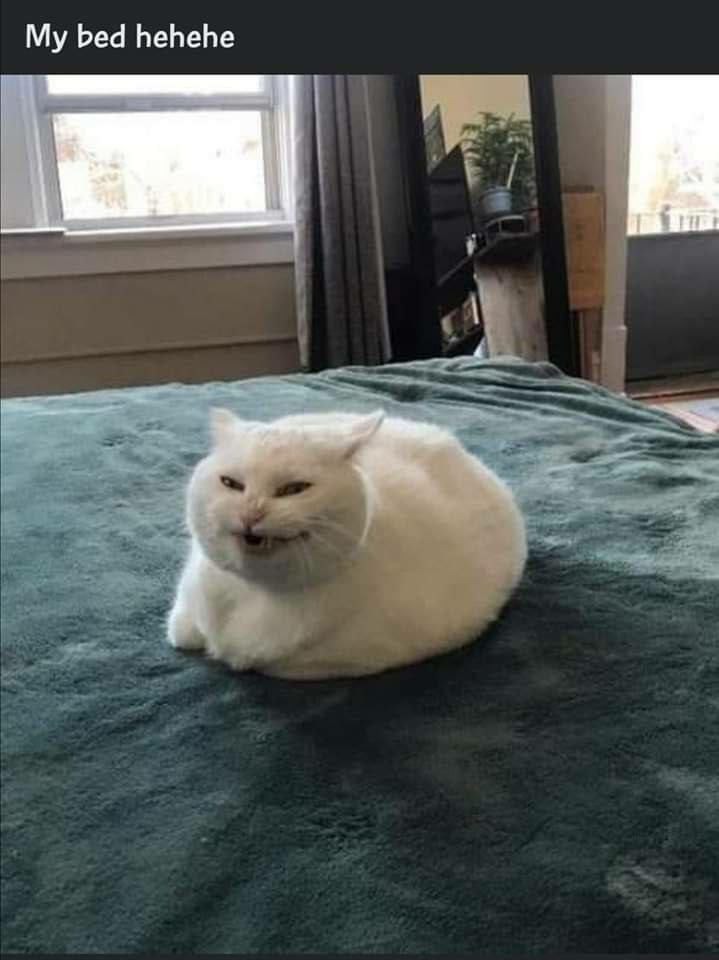 hehehe - Meme by Fernanlol5 :) Memedroid