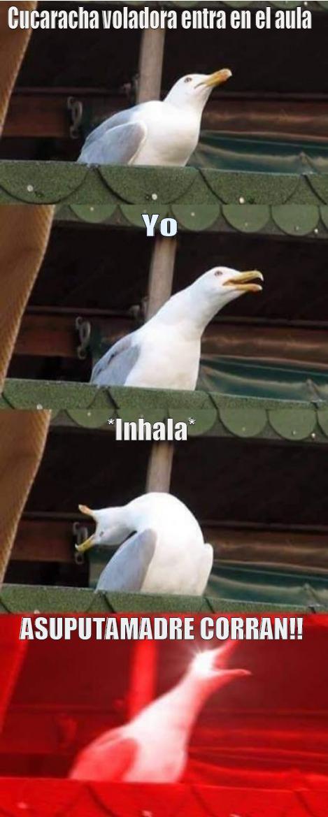 Vamonos alv wey - Meme subido por El_Sicario :) Memedroid