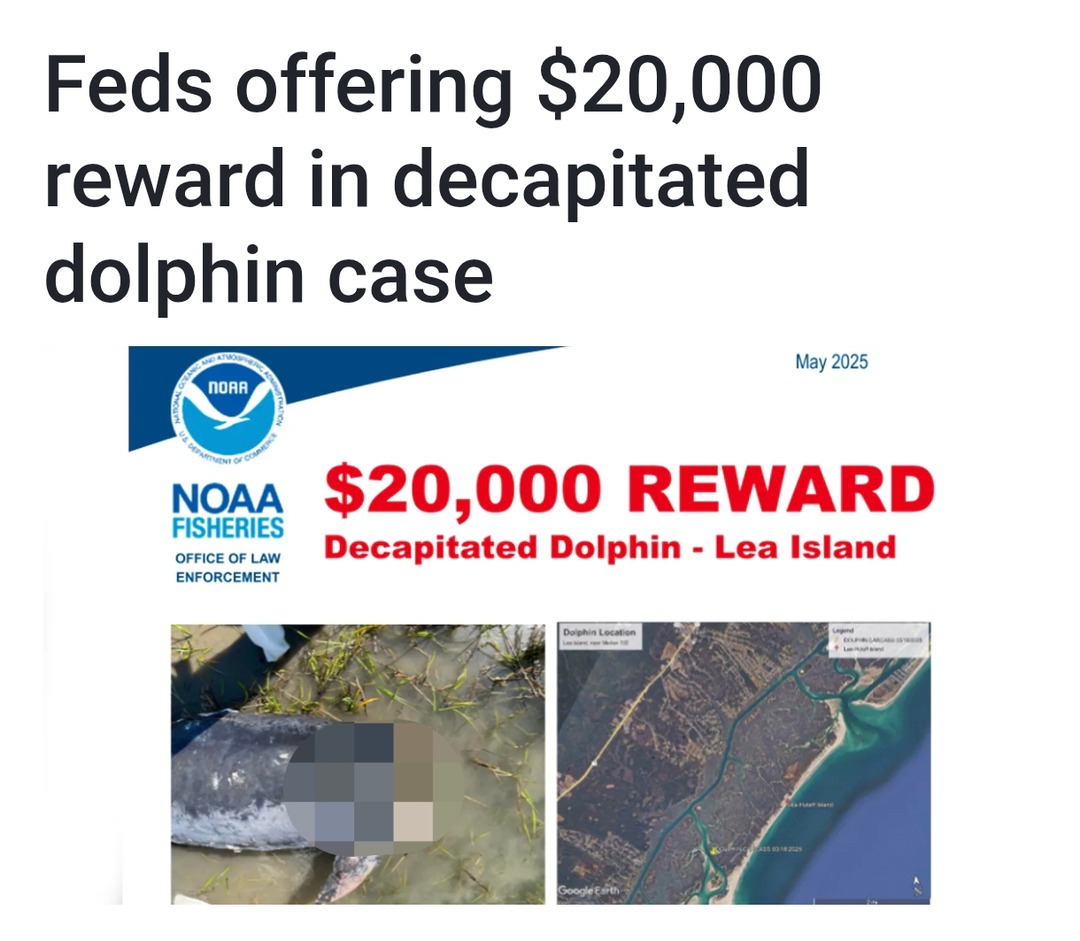 The best Investigation memes :) Memedroid