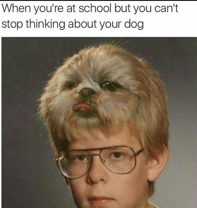 Insert - Meme by Thelegendofdylan :) Memedroid