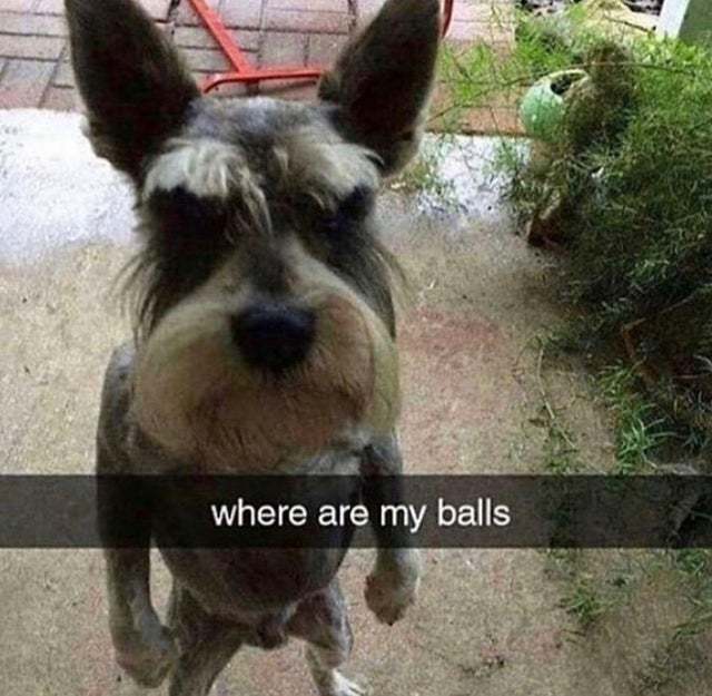 Where are they? - Meme by BruhSoundEffect69 :) Memedroid