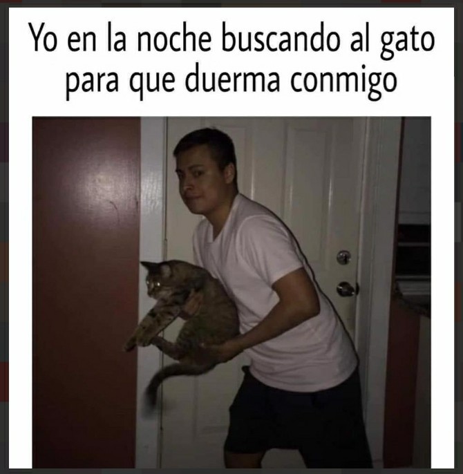 Sho - Meme subido por Naxosky217 :) Memedroid