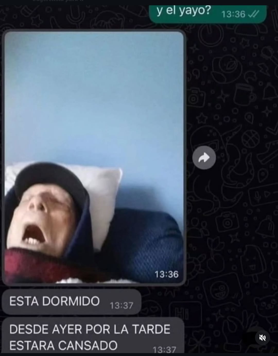 Memes Yayo Yayo Y El Cierre Del INADI: Memes Y Risas