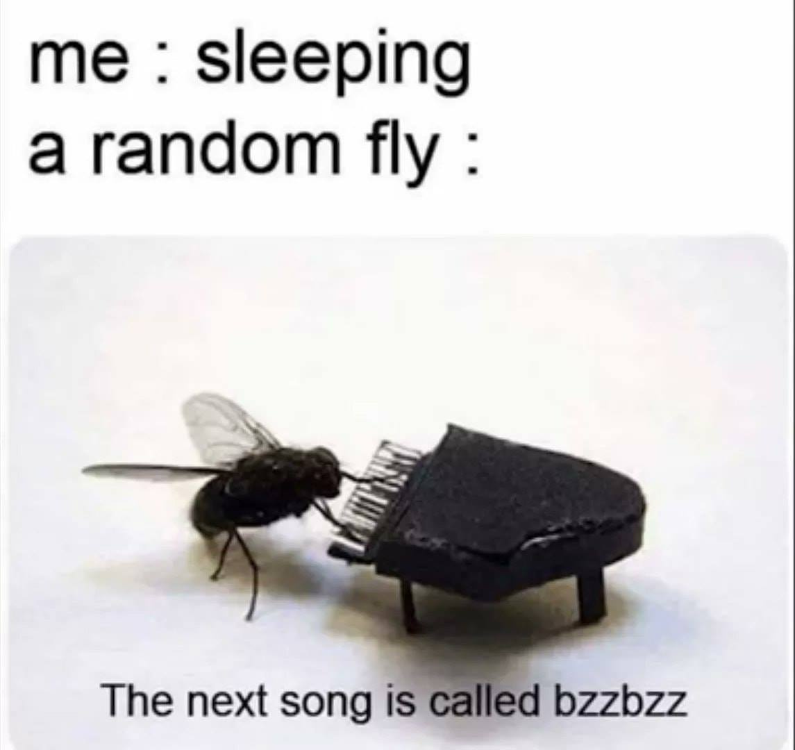 Le son qui suit s'appelle insecticide - Meme by Axelking :) Memedroid