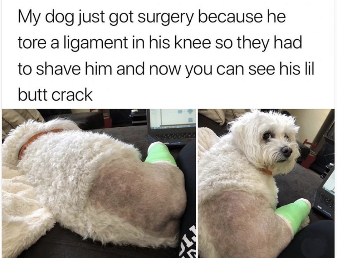 The best Surgery memes :) Memedroid