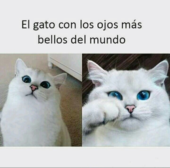 Fiesta de positivos - Meme subido por Maximus_Potatus :) Memedroid