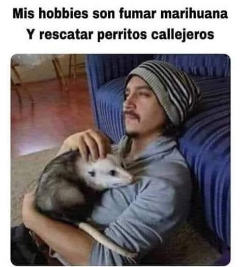 Me explotó una semilla - Meme subido por Blemo1 :) Memedroid