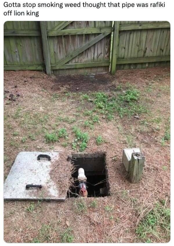 Insert - Meme by spongebob666 :) Memedroid