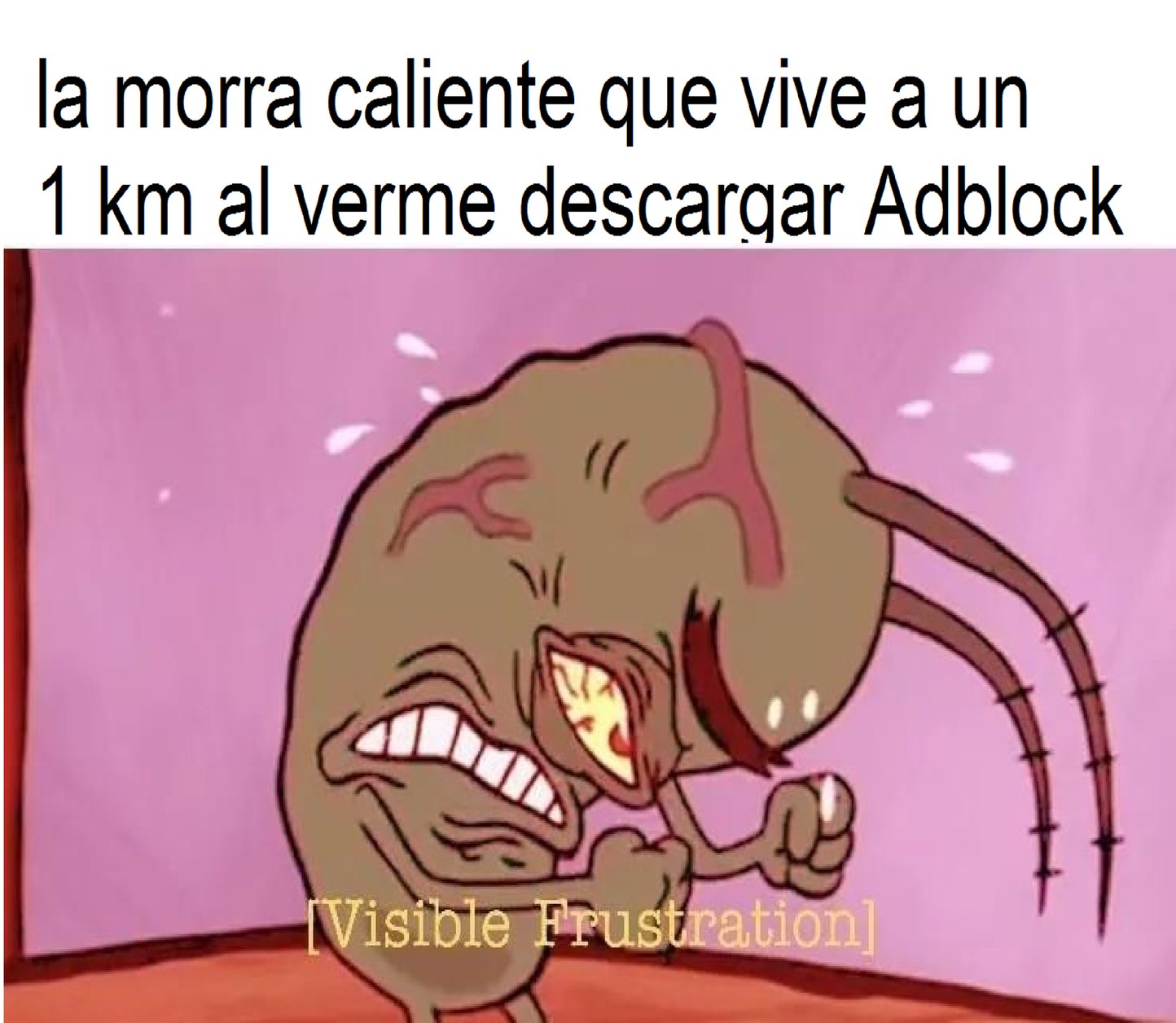 Top memes de plankton en español :) Memedroid