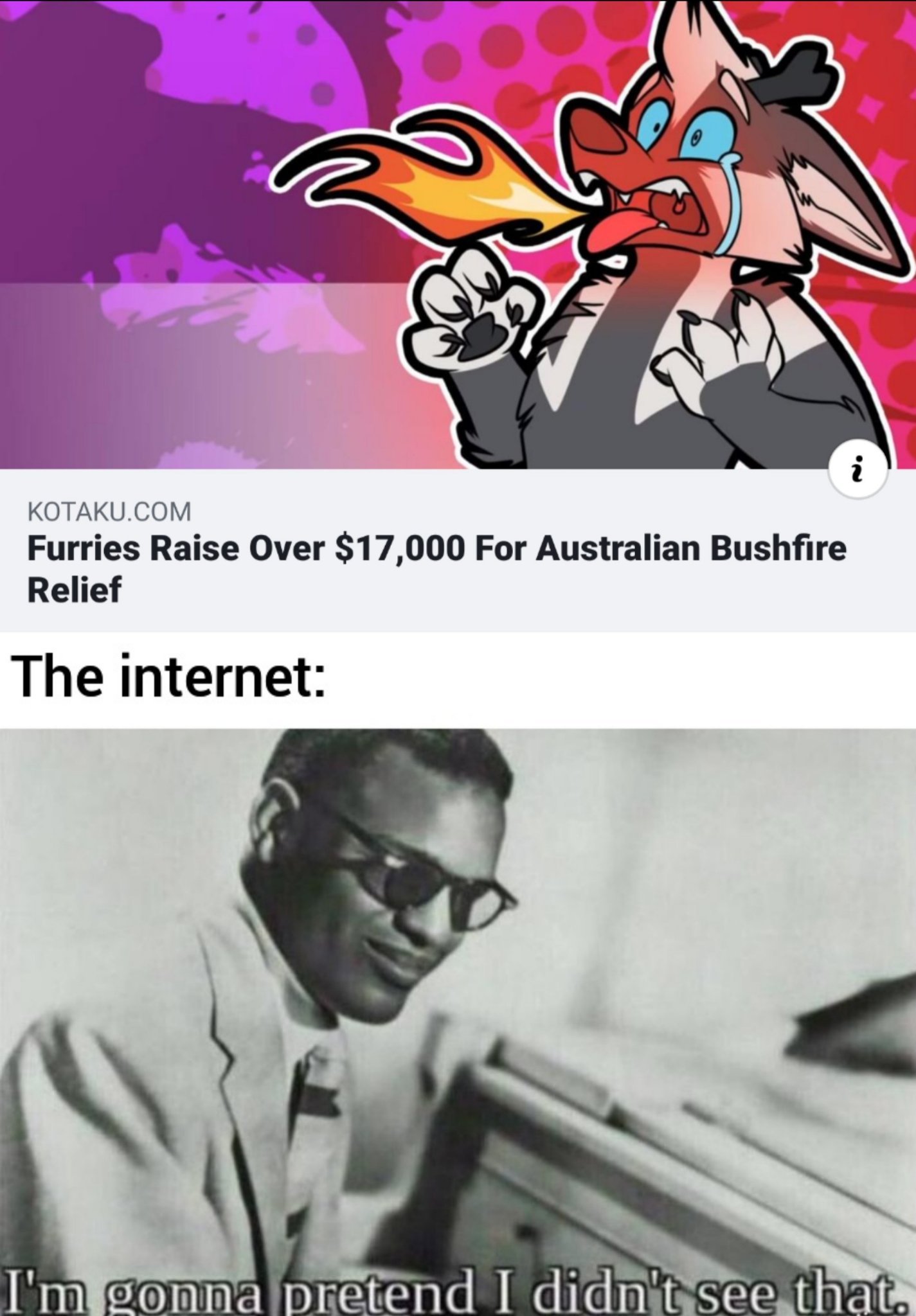 The best furry memes :) Memedroid