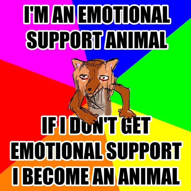 The best Transformation memes :) Memedroid