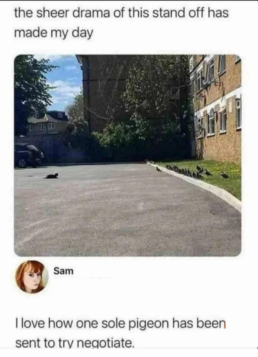 The best Negotiation memes :) Memedroid