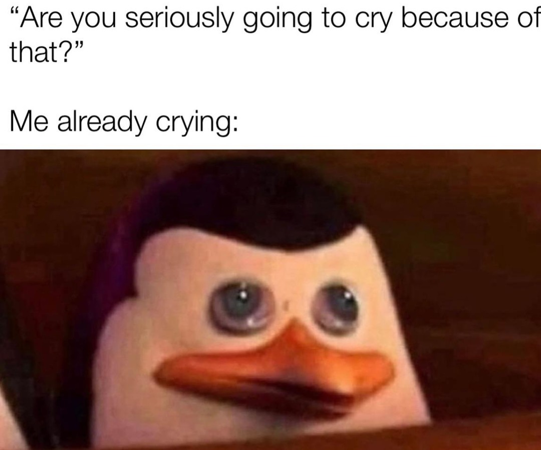 The Latest Memes :) Memedroid