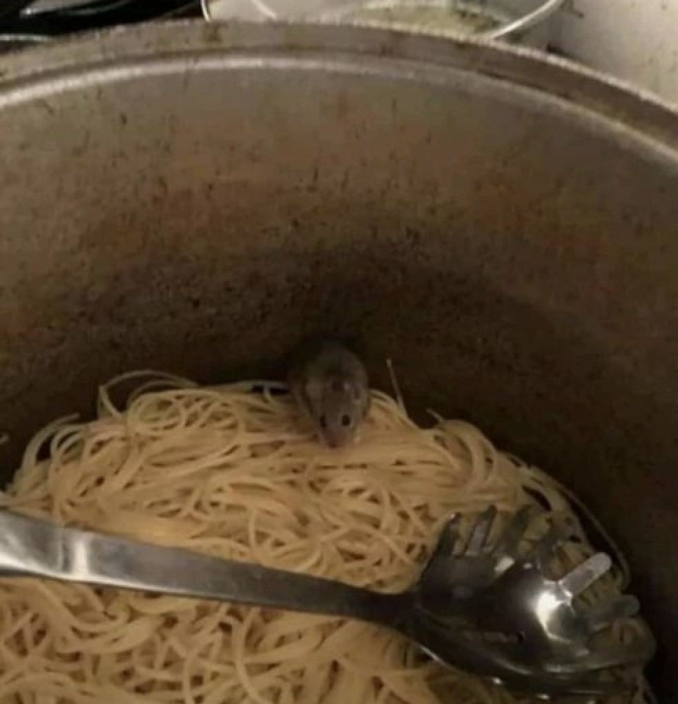 Los Últimos Memes :) Memedroid