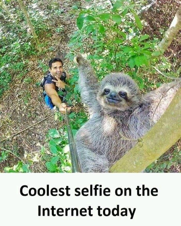 Cool Carl @it again - Meme by Kingstyllez :) Memedroid