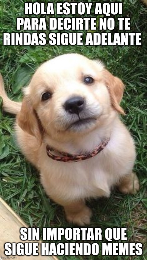 una frase - Meme subido por Masonalex :) Memedroid