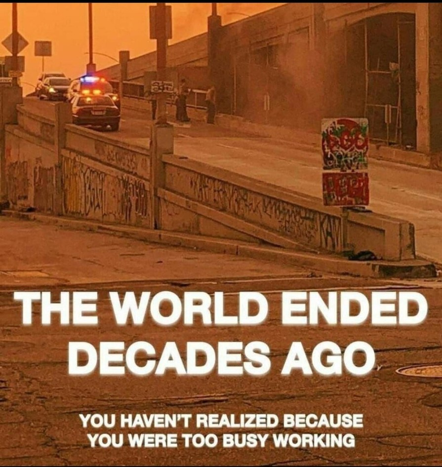 The best World memes :) Memedroid
