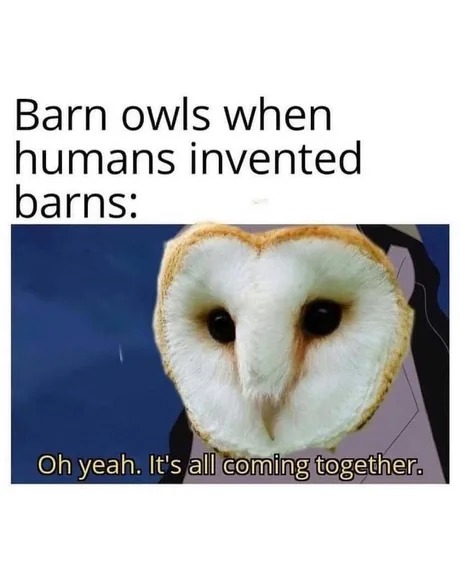 Owl Hey Memes
